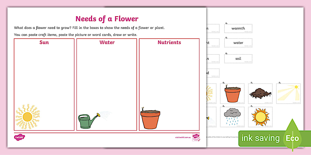 Needs of a Flower Activity Sheet (Pre-Foundation) - Twinkl