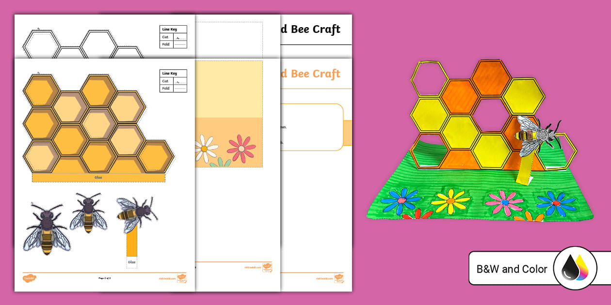 3D Honeycomb and Bee Craft