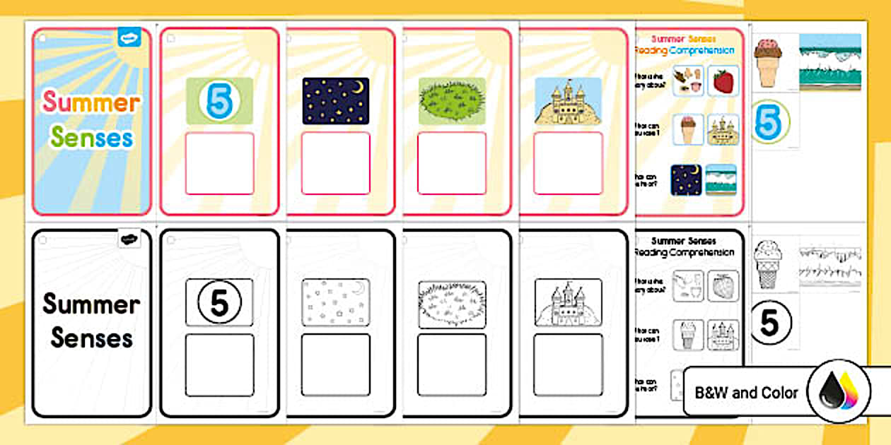 Summer Senses Early Adapted Reader (teacher made) - Twinkl