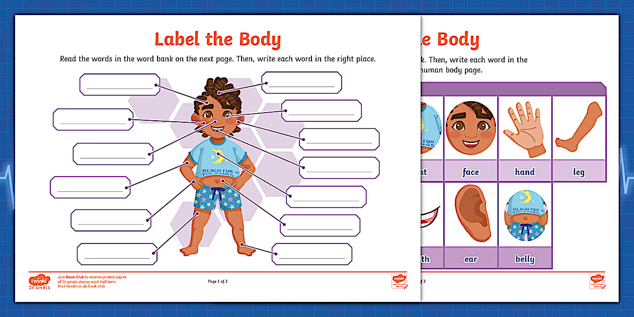 Label the Human Body Activity Sheet (teacher made) - Twinkl