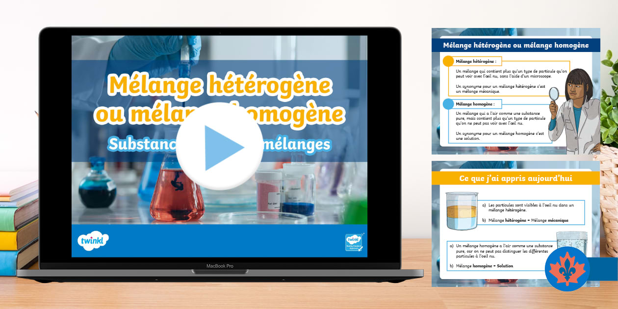 Heterogeneous or Homogeneous Mixture PowerPoint French