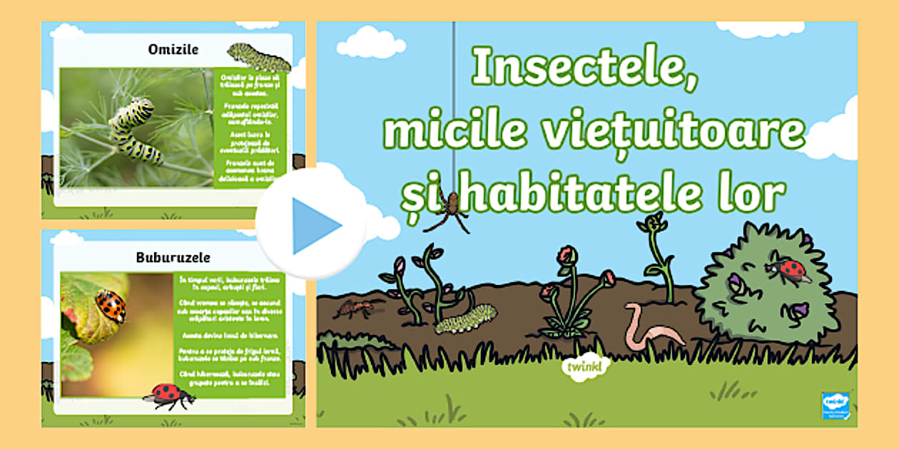Insecte, mici viețuitoare și habitatele lor – Prezentare Powerpoint