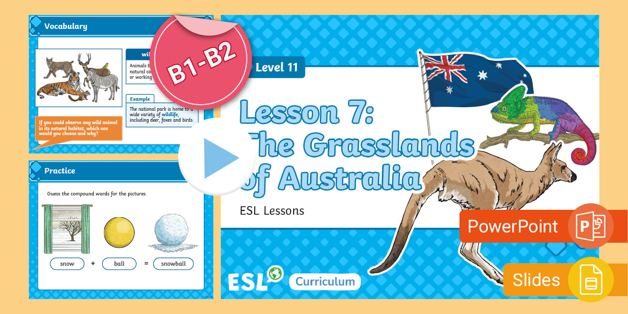 ESL Curriculum Level 11 Lesson 7 (Lehrer gemacht) - Twinkl