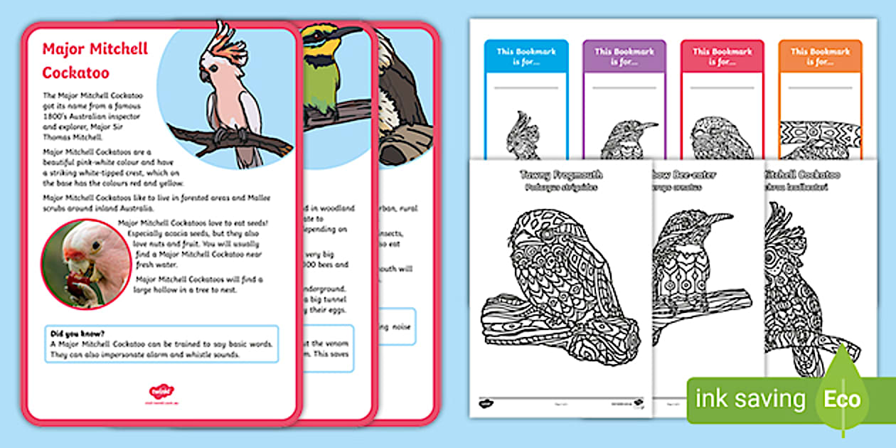 QLD Australian Animal Resource Pack (teacher made) - Twinkl