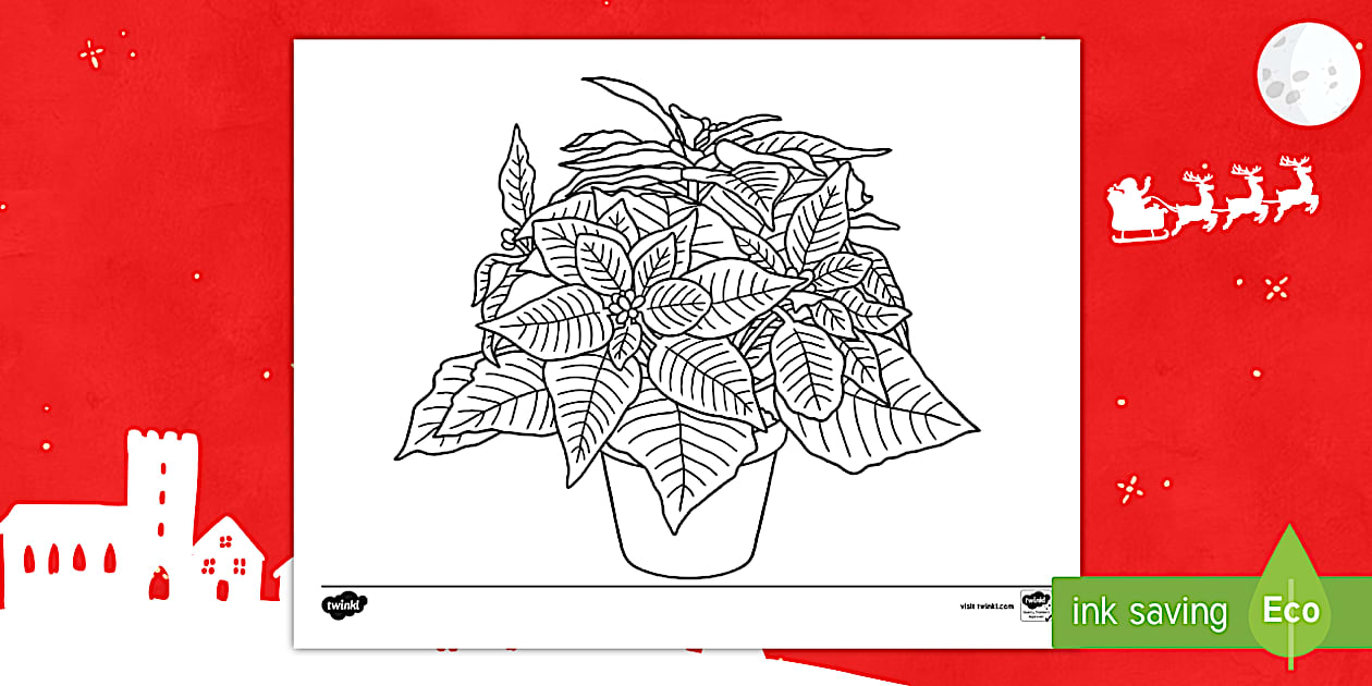 Poinsettia Coloring Sheet (teacher made) - Twinkl