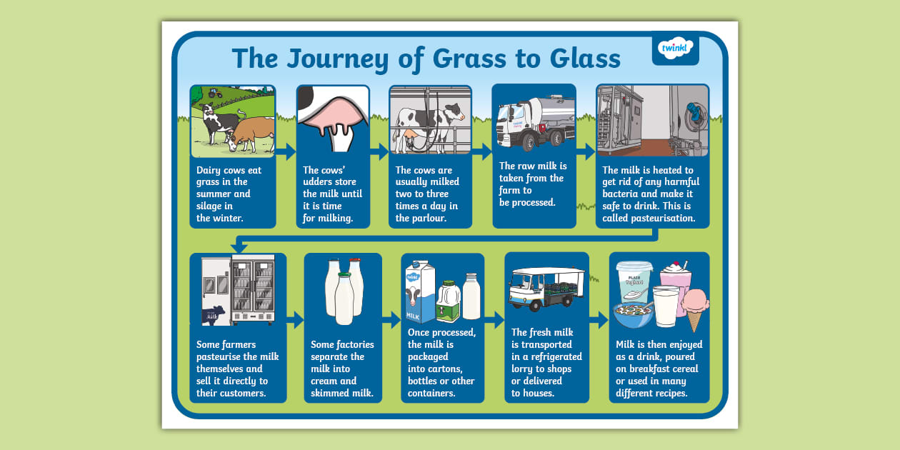 The Journey of Grass to Glass Display Posters - Twinkl