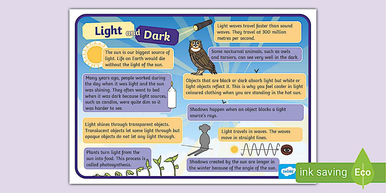 Ten Fun Facts About Light and Dark Display Poster - Twinkl
