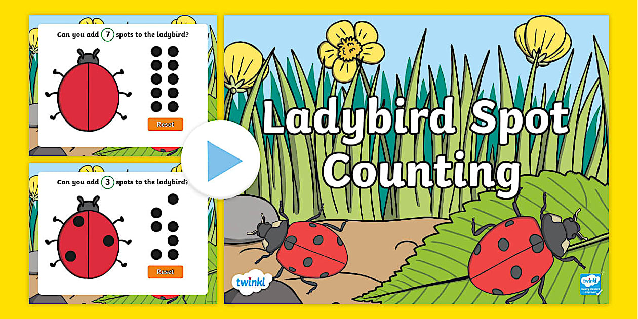 Ladybird Spot Counting PowerPoint - Twinkl