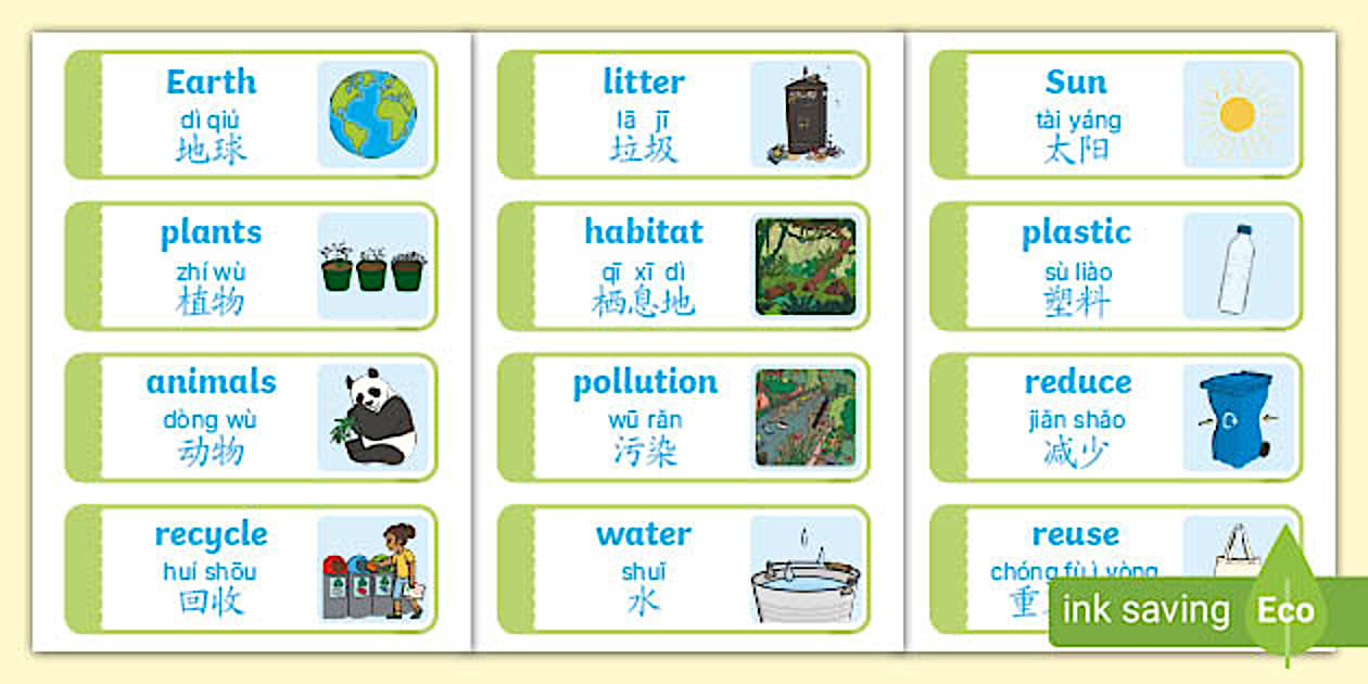 KS1 Earth Day Word Cards - English/Mandarin Chinese/ Pinyin