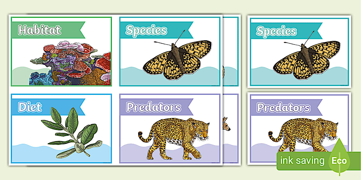 Technical Vocabulary Word Cards (Teacher-Made) - Twinkl