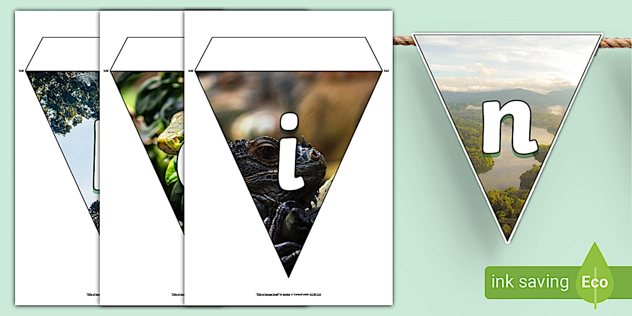 Rainforest Photo Bunting