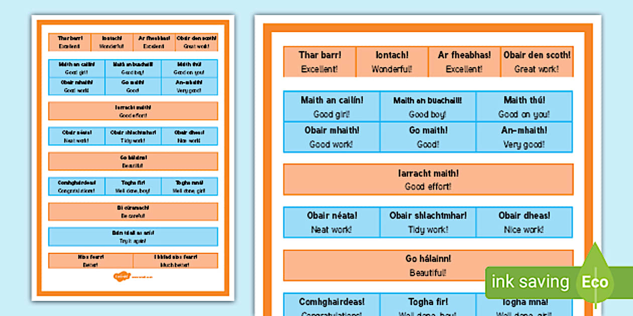 Irish Gaeilge Correction Phrases | Primary Resources