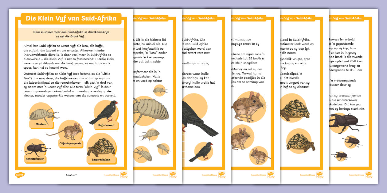 Gr 5 Die Klein Vyf van Suid-Afrika Begripslees