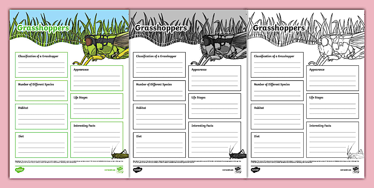 Grasshopper Fact File Template (professor feito) - Twinkl
