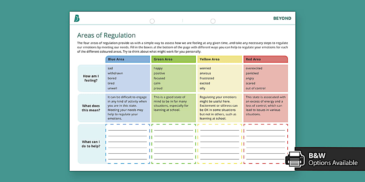Areas of Regulation Activity | Beyond RSE (teacher made)
