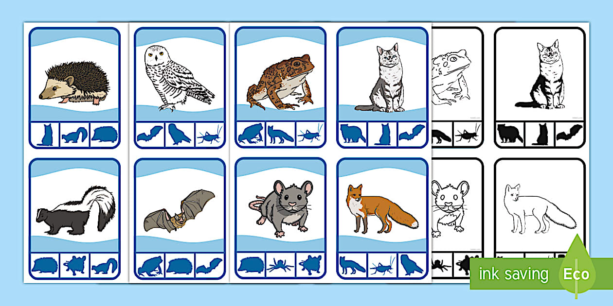 Nocturnal Animals Shadow Matching Clip Cards (teacher made)