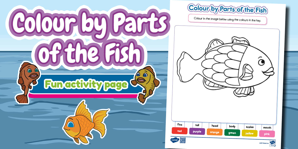 Colour by Parts of the Fish Worksheet
