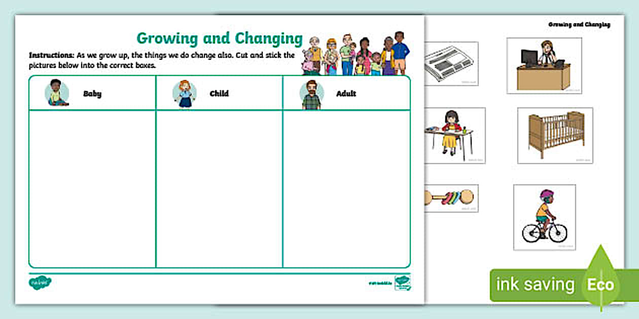 Growing and Changing Cut and Stick Worksheet (teacher made)