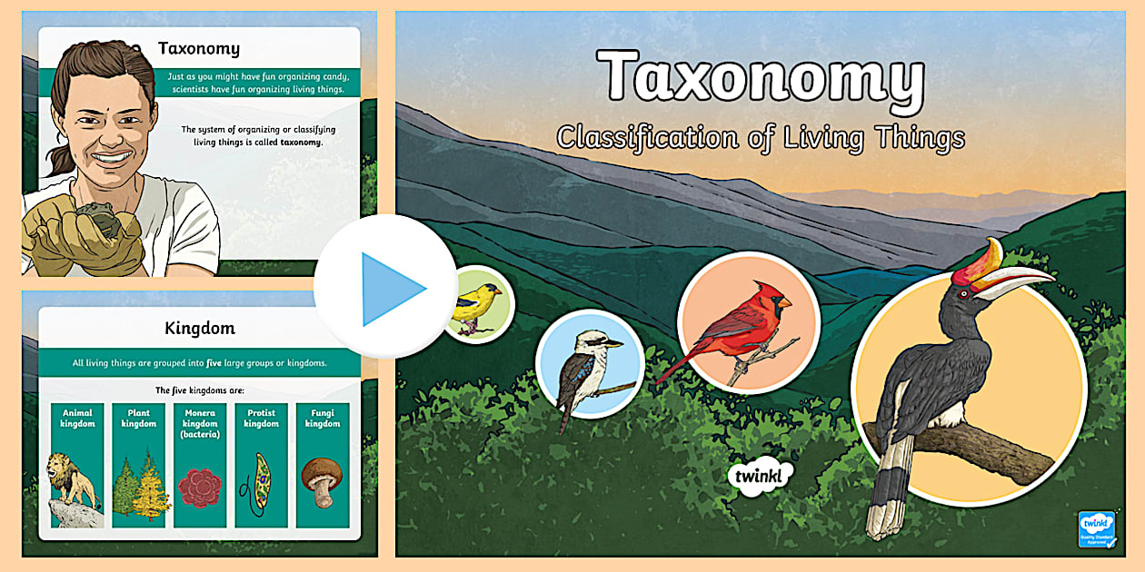 Taxonomy PowerPoint - Animal Kingdom PowerPoint Presentation
