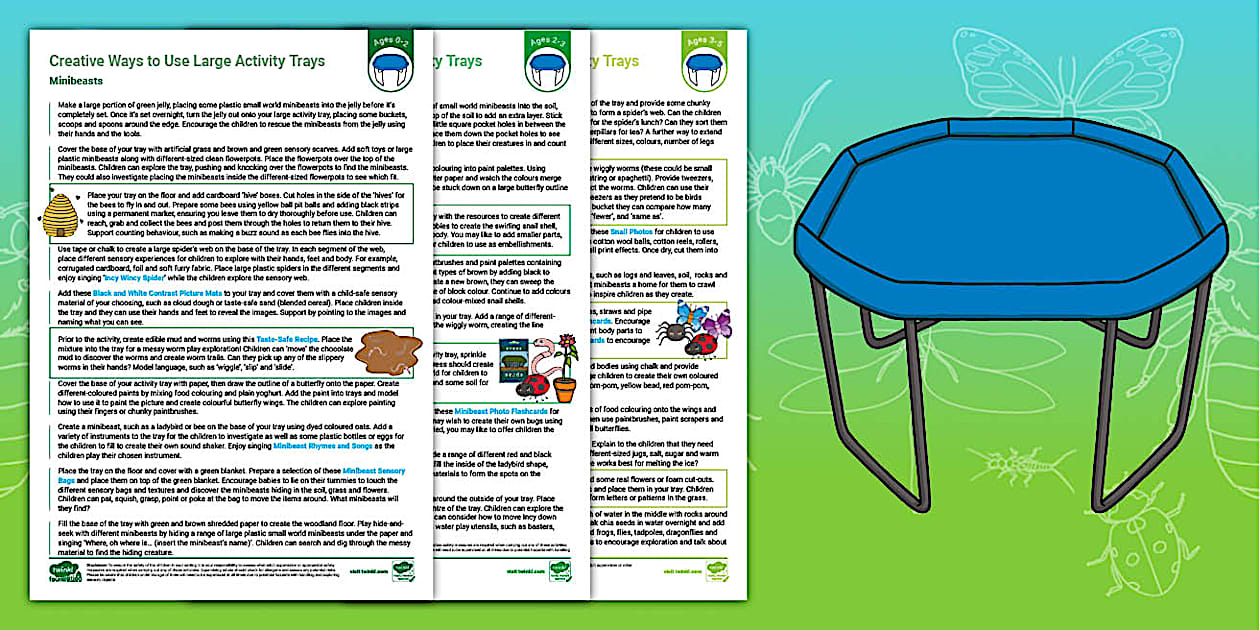 EYFS Ages 0-5 Creative Large Activity Trays Pack: Minibeasts