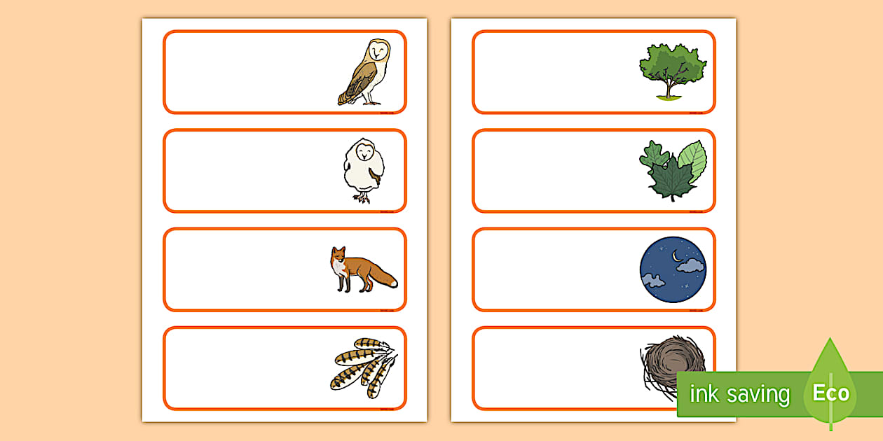 Owl Drawer-Peg-Name Labels (teacher made) - Twinkl