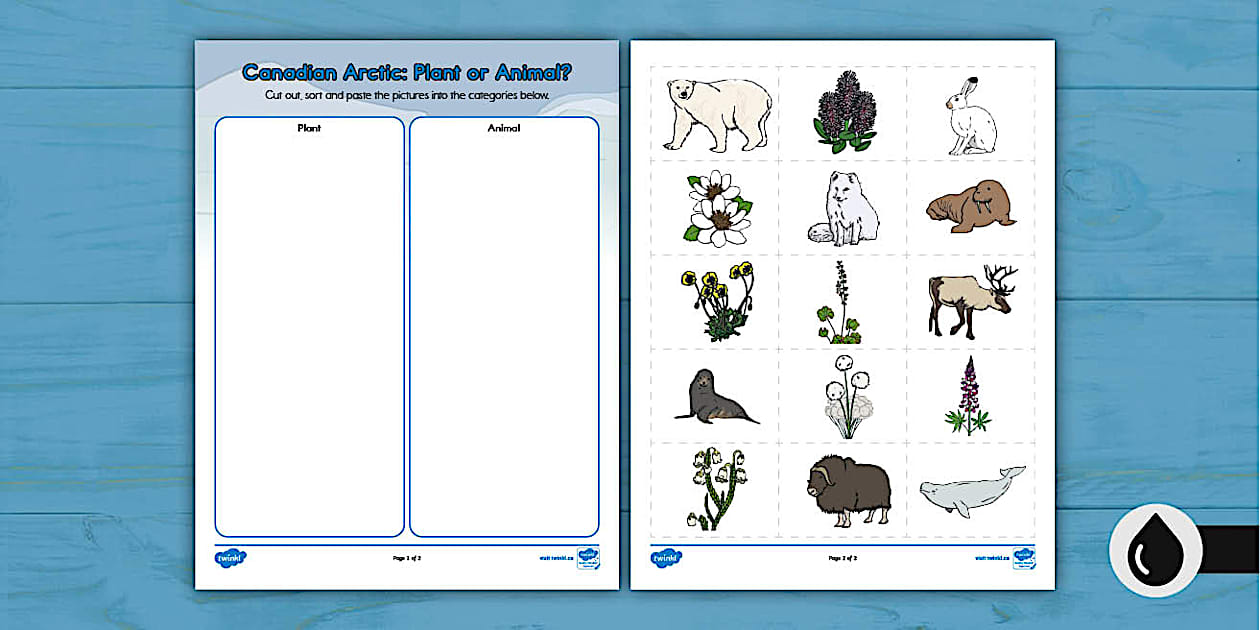 Canadian Arctic: Plants and Animals Sort (Teacher-Made)