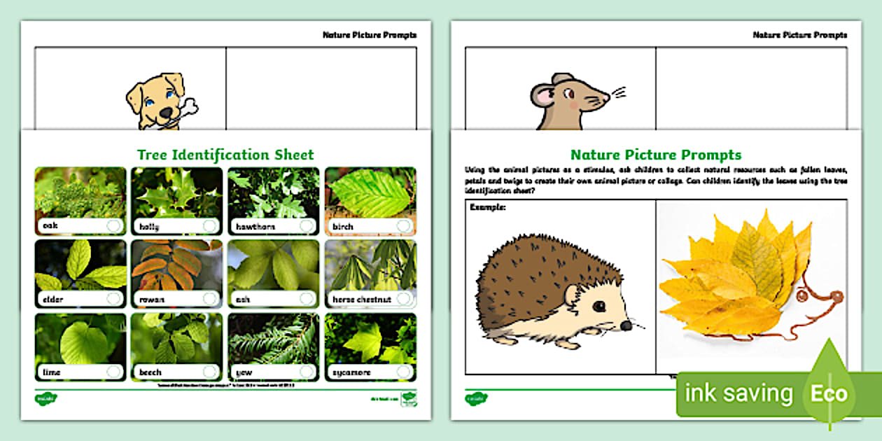 Nature Art for Children | Exploring Nature Art Activity