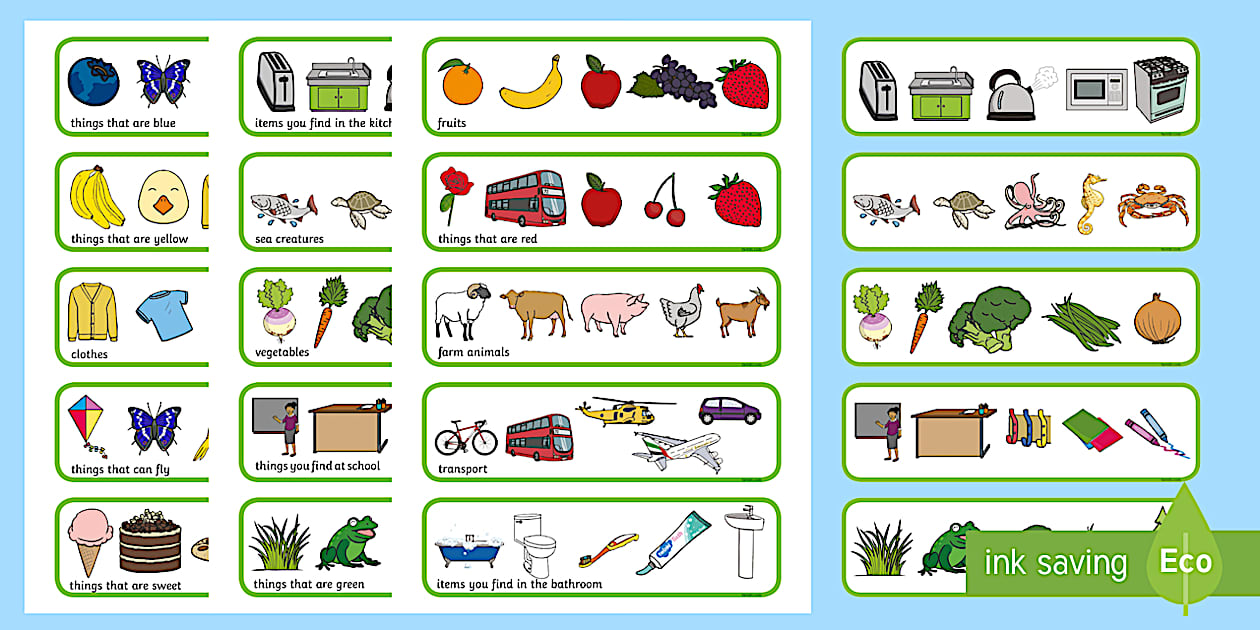 Guess The Category Activity (teacher made) - Twinkl