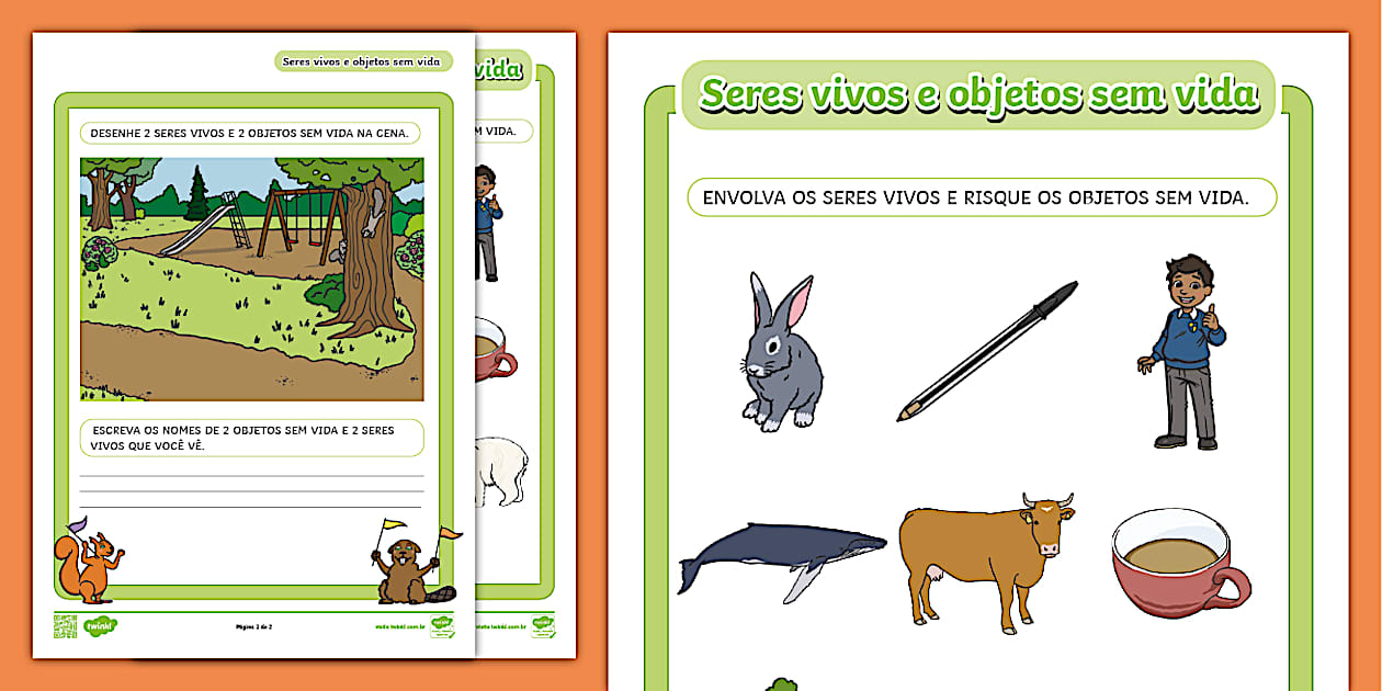 Seres vivos e objetos sem vida para alunos com autismo