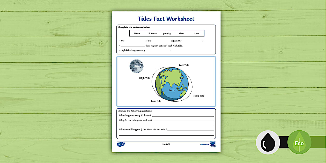 Tides Fact Worksheet (Teacher-Made) - Twinkl