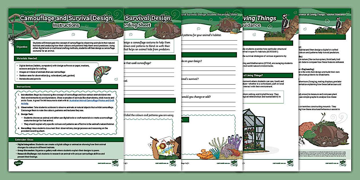 STEM Outdoors: Camouflage and Survival Design