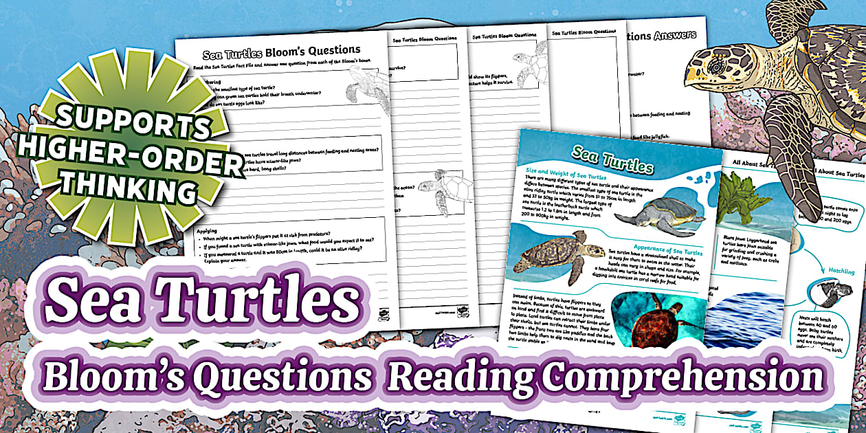 Sea Turtles Bloom's Questions Reading Comprehension Activity