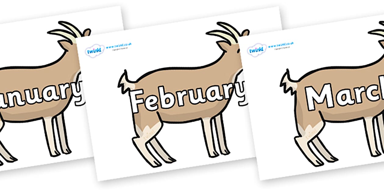 Months of the Year on Goats (teacher made) - Twinkl