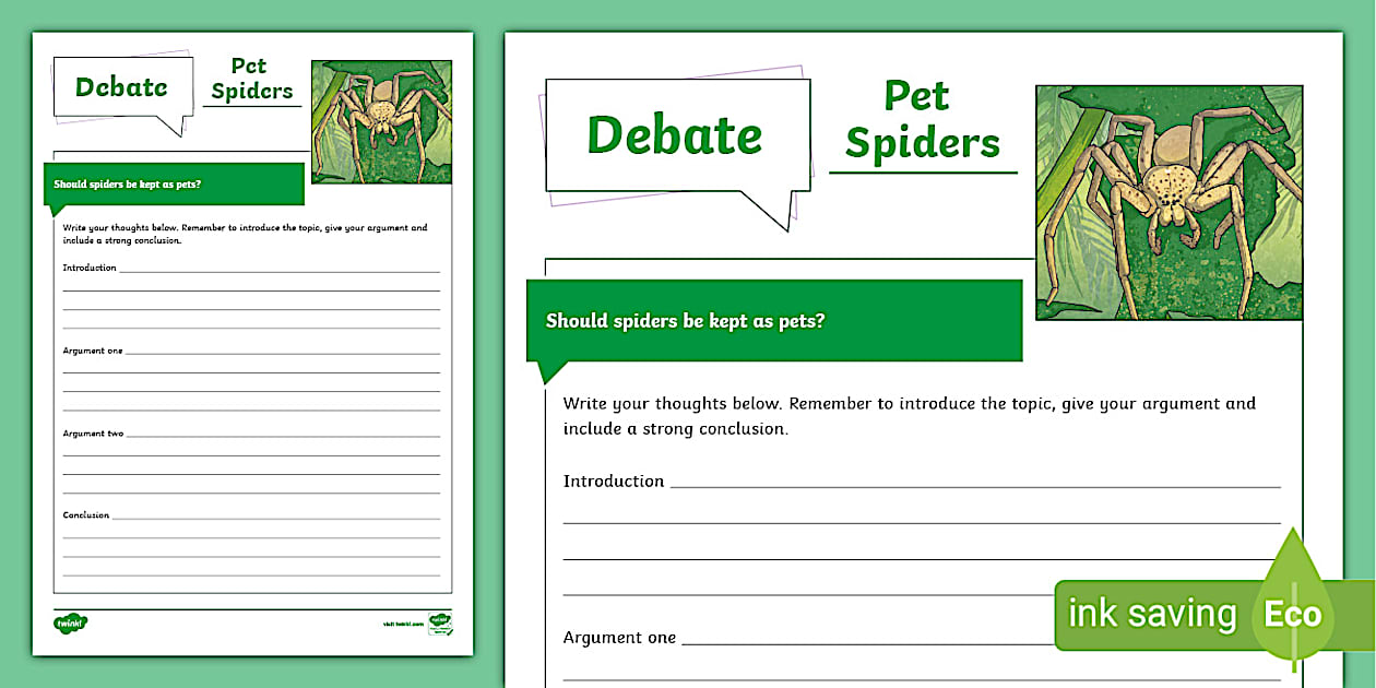Pet Spiders Debate Writing Frame (l'enseignant a fait)