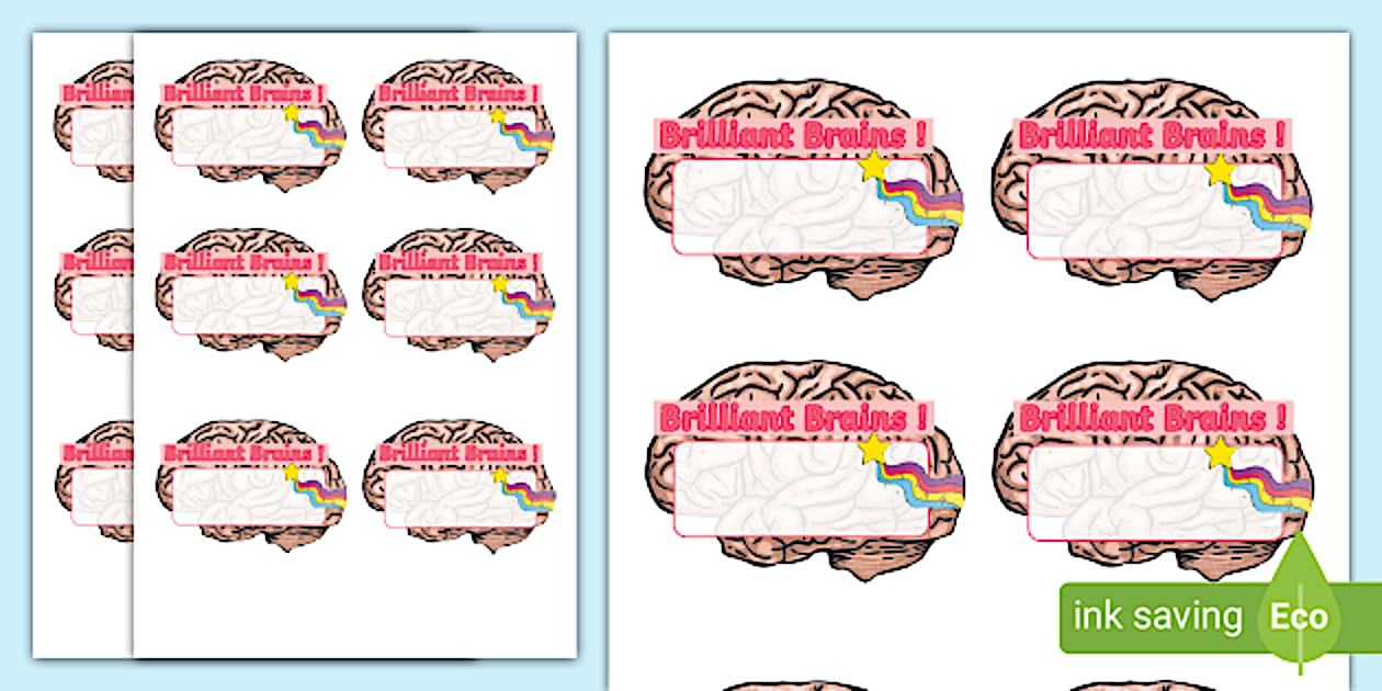 👉 Brilliant Brains Editable Self-Registration Labels