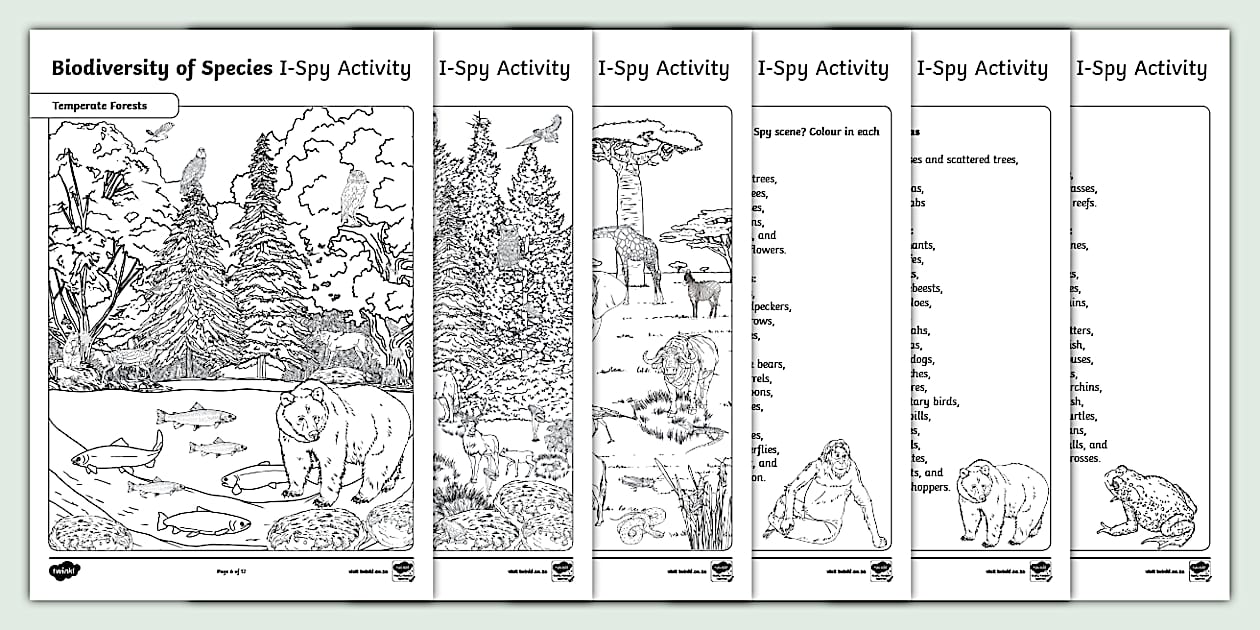 Biodiversity of Species I-Spy Activity (teacher made)