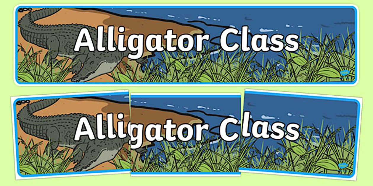 Cursive Alligator Class Display Banner (teacher made)