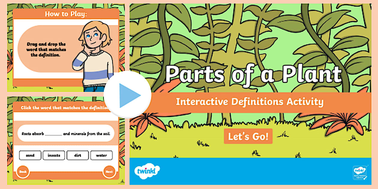 Parts of a Plant Interactive Definitions Activity - Twinkl