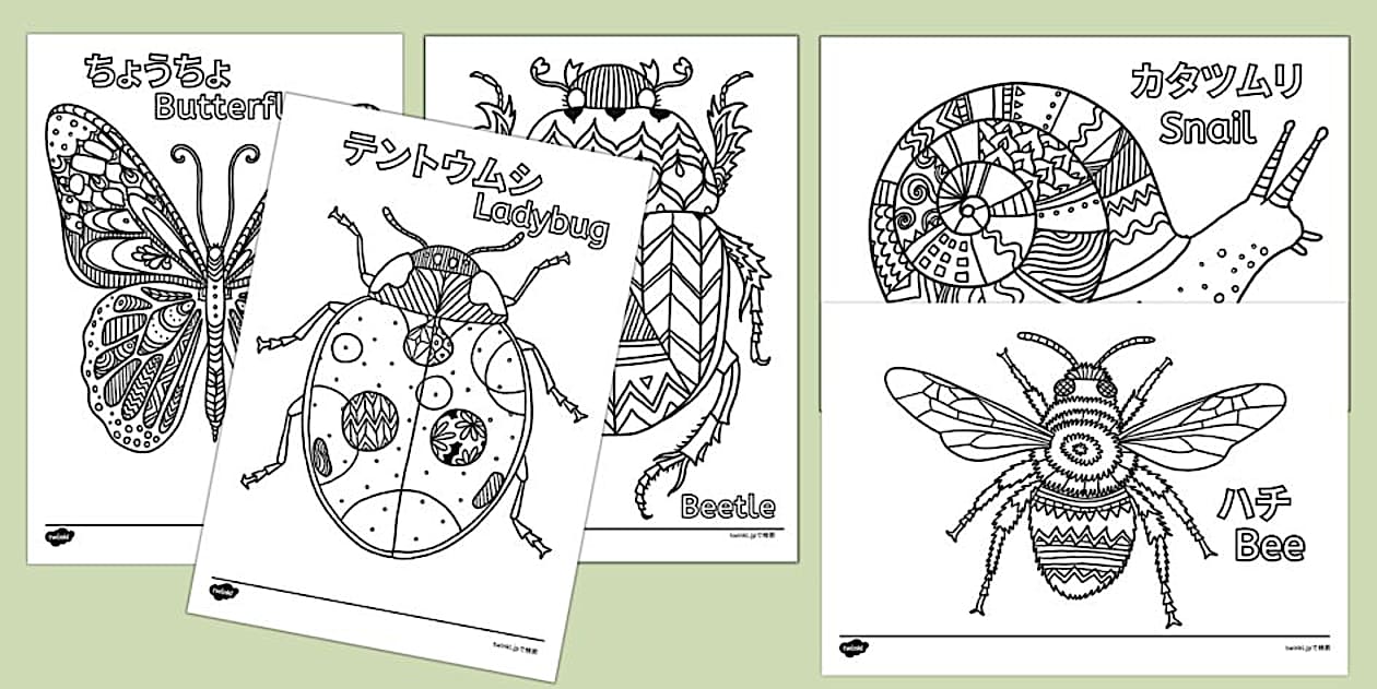 夏の昆虫 マインドフルネスぬりえ セット Summer Insects Mindfulness Coloring Sheets