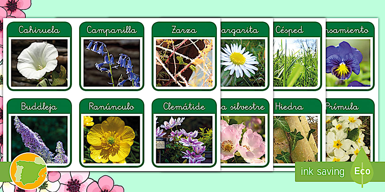 Tarjetas educativas: Las flores de la primavera - Twinkl