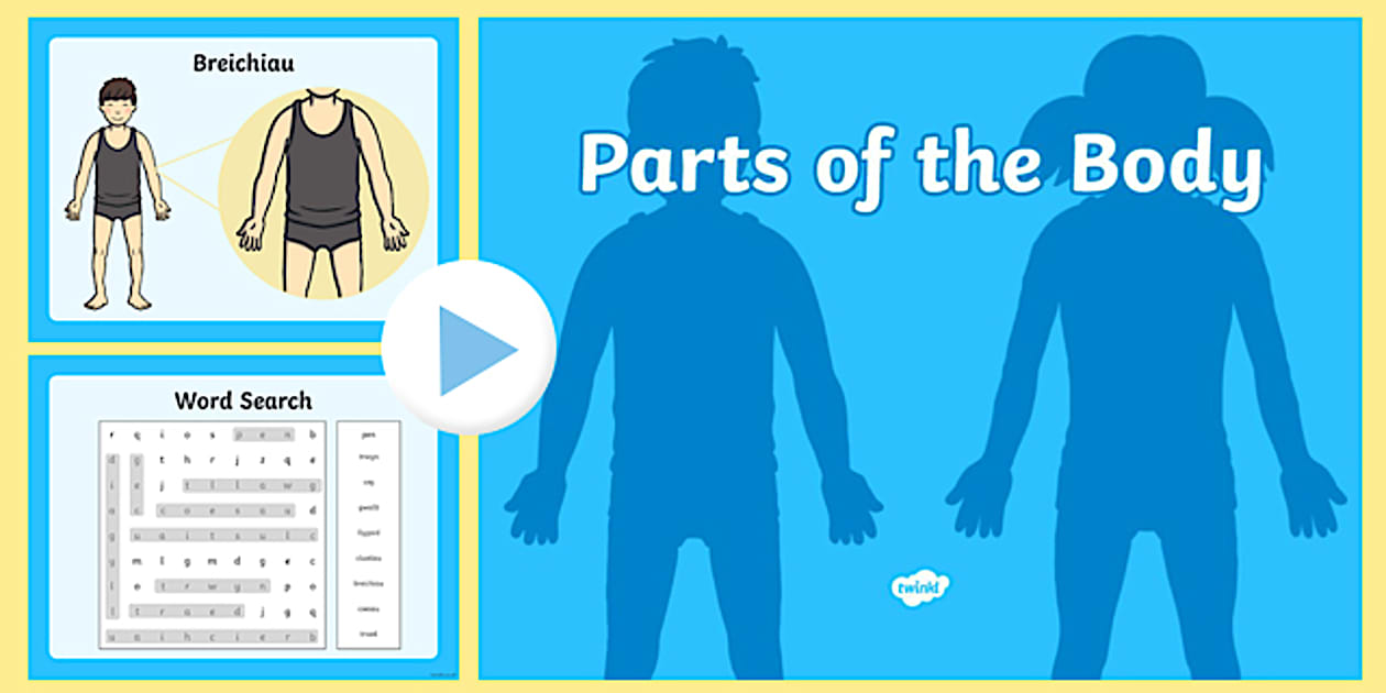 Parts of the Body PowerPoint-Welsh, pen ysgwyddau coesdau traed