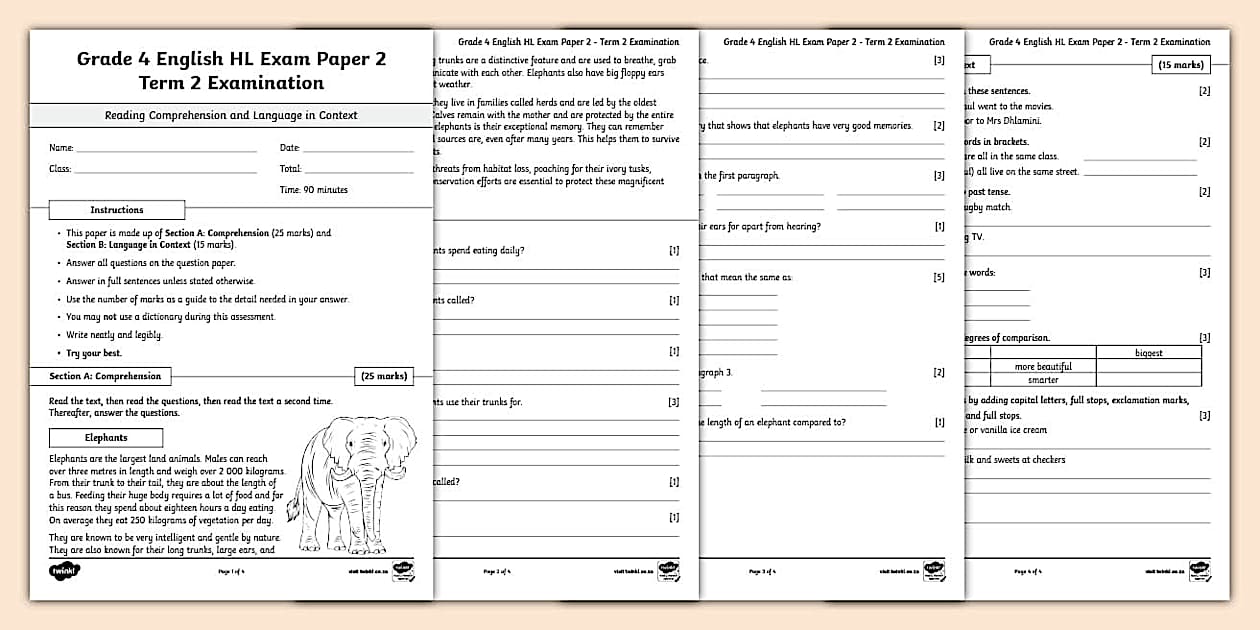 Grade 4 English HL - Term 2 - Examination Paper 2 (CAPS Aligned)