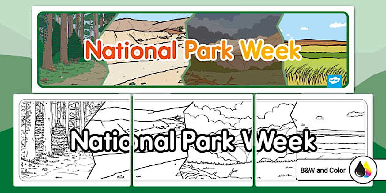 Parks Week Banner | National Park Week | Twinkl USA - Twinkl