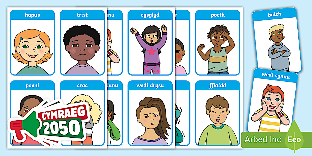 Editable Welsh Emotions Flash Cards (Hecho por educadores)