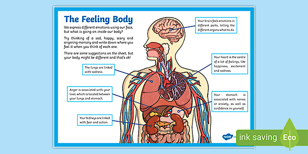 The Feeling Body Activity (teacher made) - Twinkl
