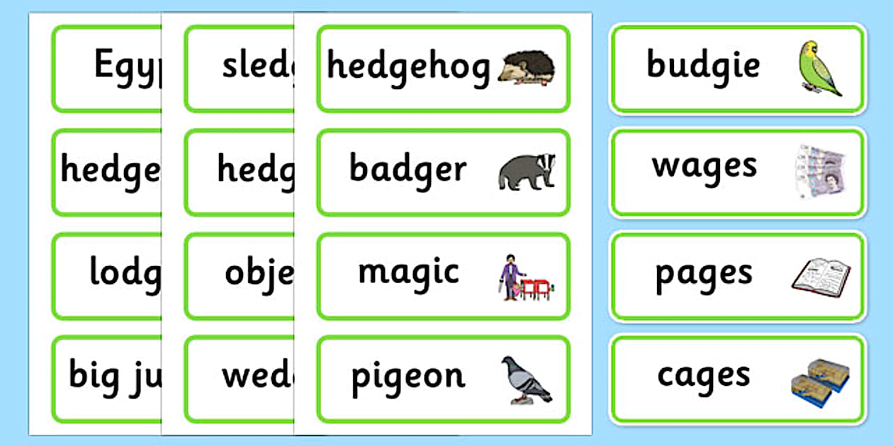 Medial 'j' Word Cards - Phonics Teaching Resource - Twinkl
