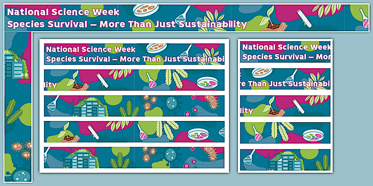 National Science Week Display Borders (teacher made)