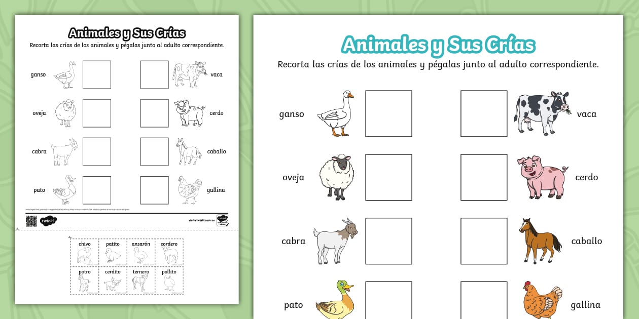 Guía de trabajo: Emparejar animales con sus crías - Twinkl