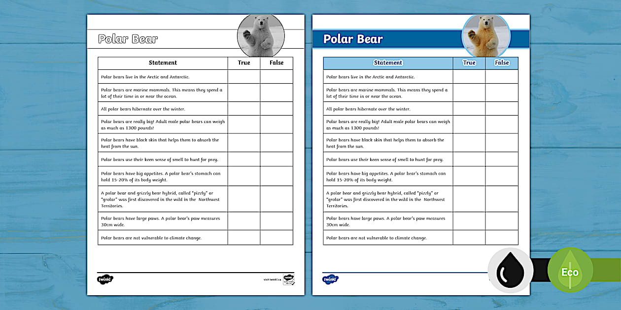 Polar Bear True or False Activity (Teacher-Made) - Twinkl