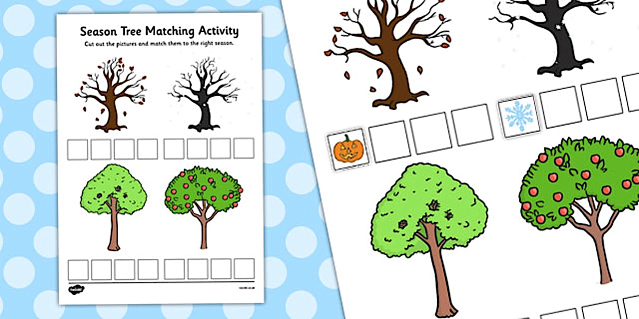 Seasons Matching Worksheet Activity | Cut and Stick Tree